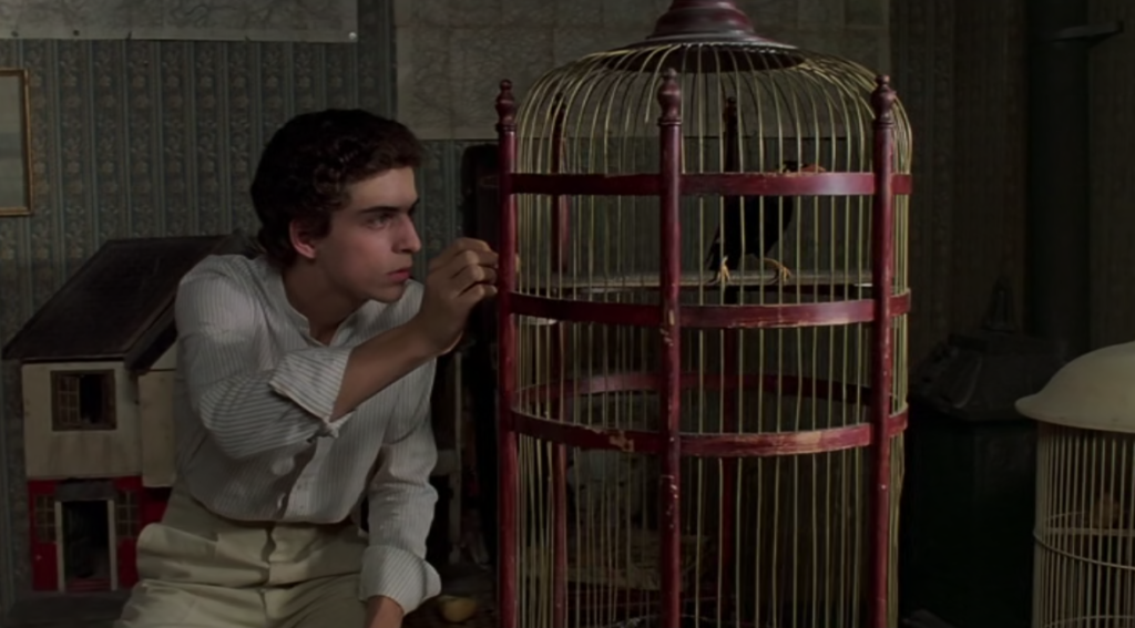 ERNESTO de Salvatore Samperi : adolescence et choix - Pop and Films